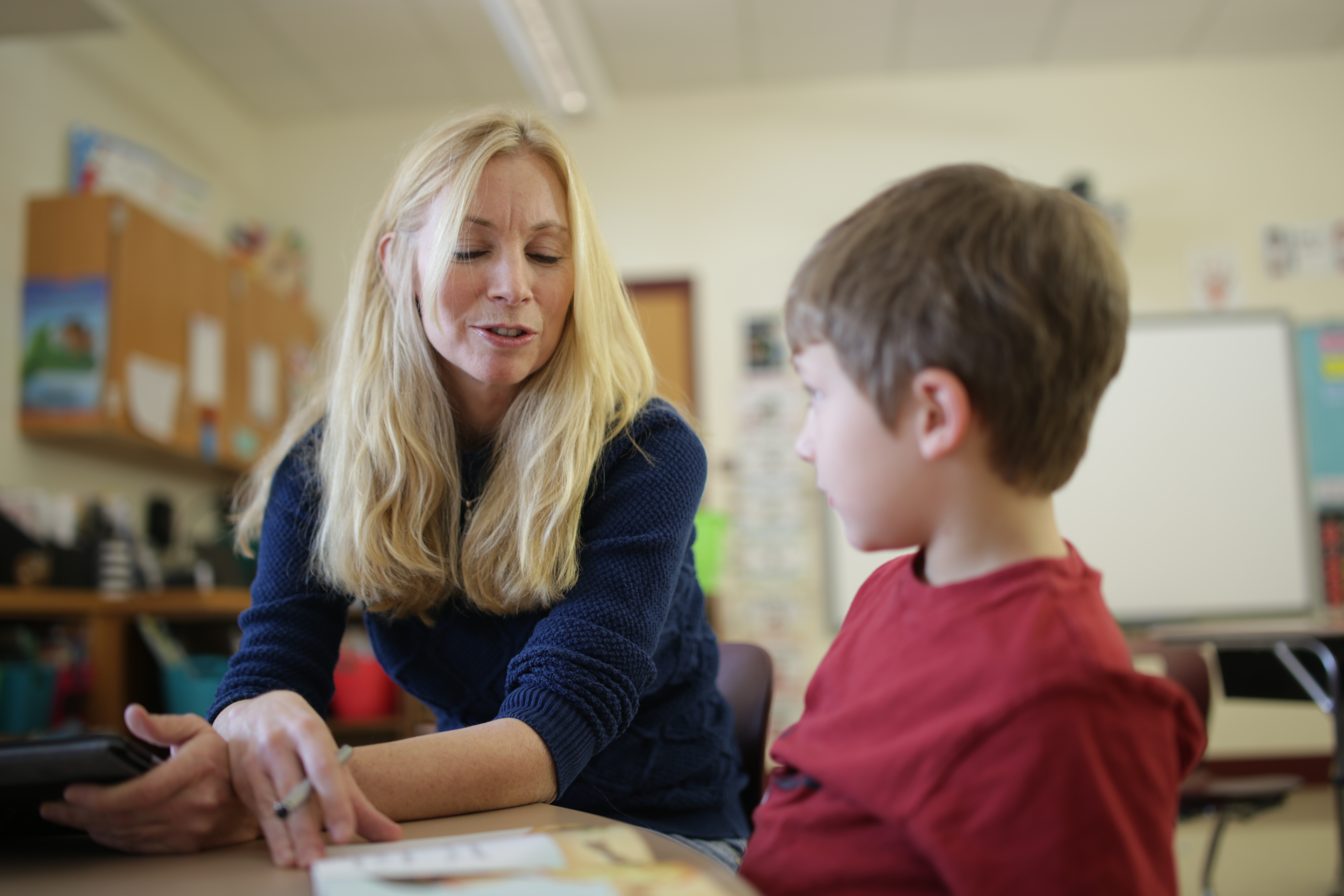 What is Benchmark Assessment System (BAS) and how is BAS used?